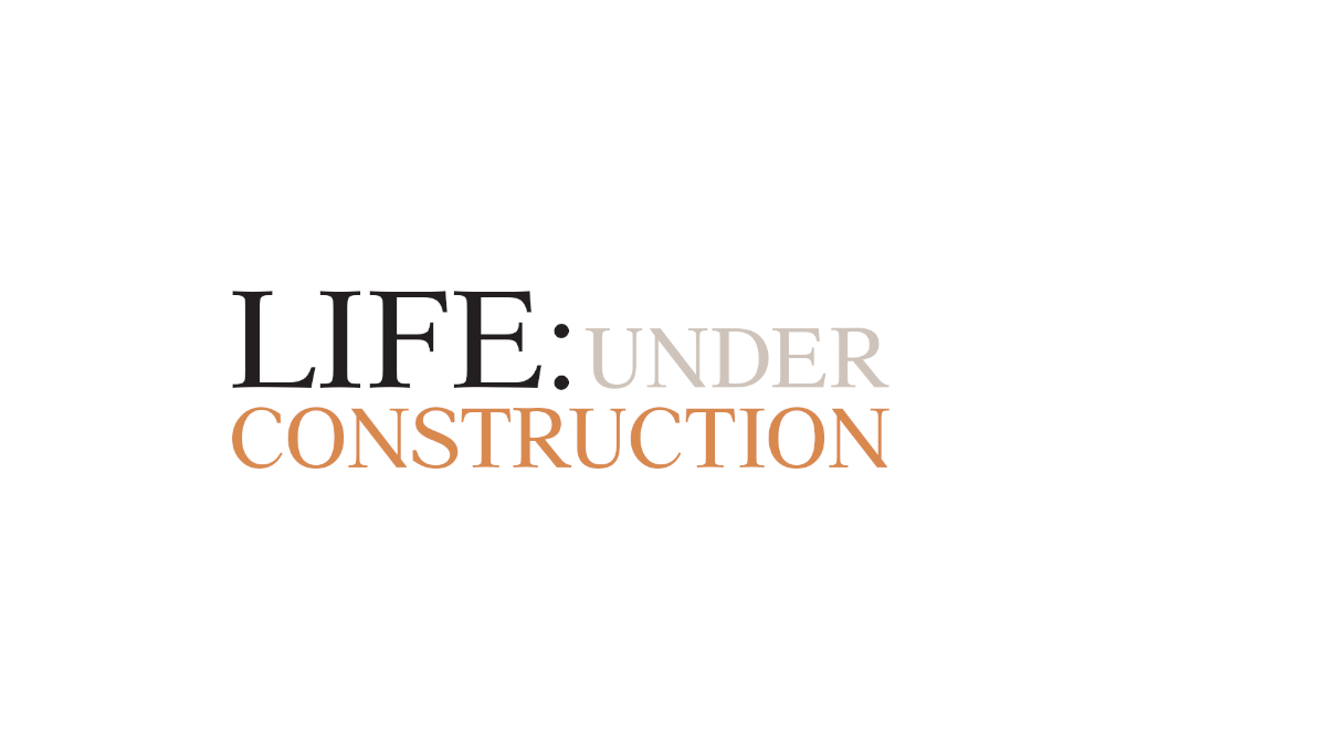 This is Life: Under Construction – The Davis Daily